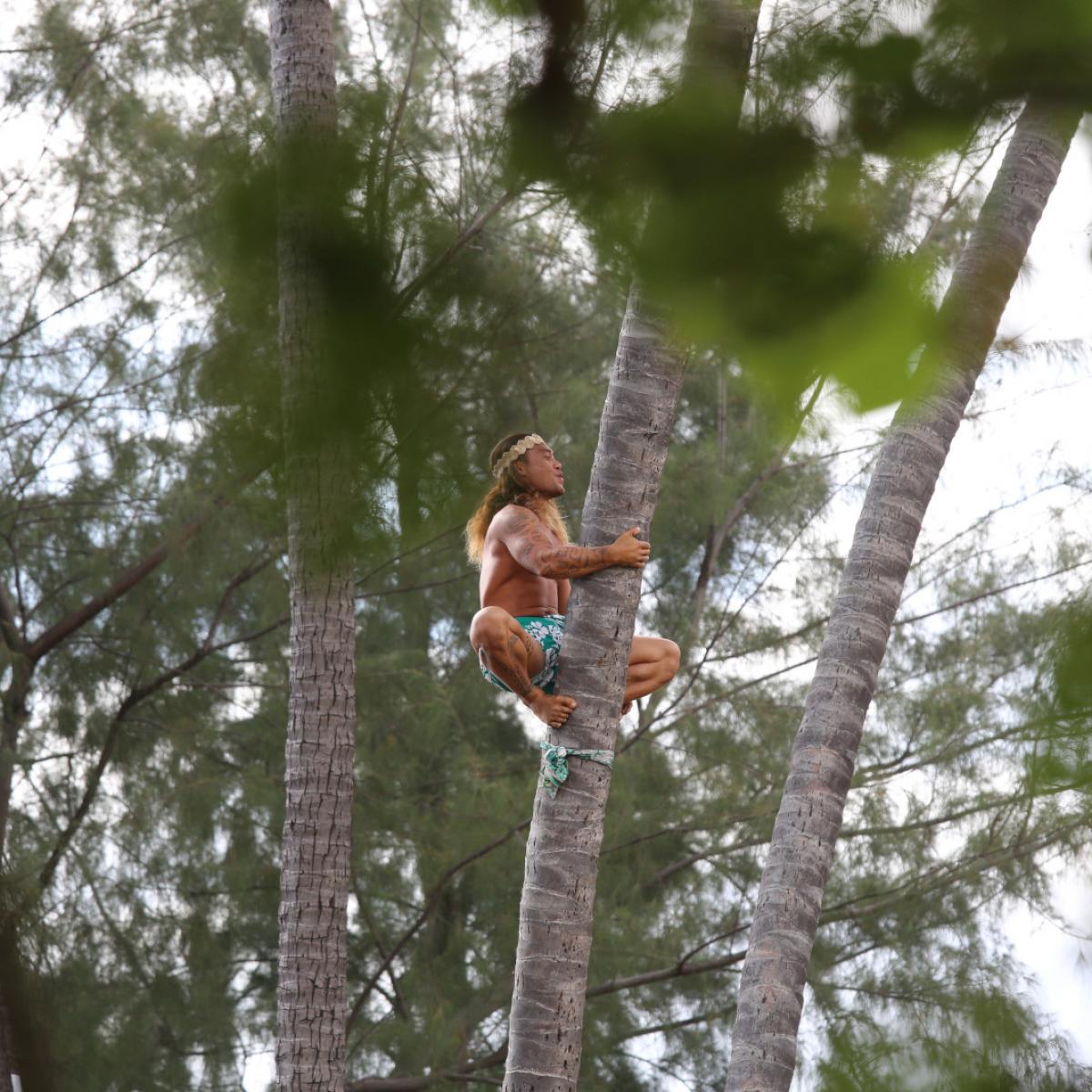 Tū’aro Mā’ohi, traditional Polynesian sports | Tahiti Tourisme ...