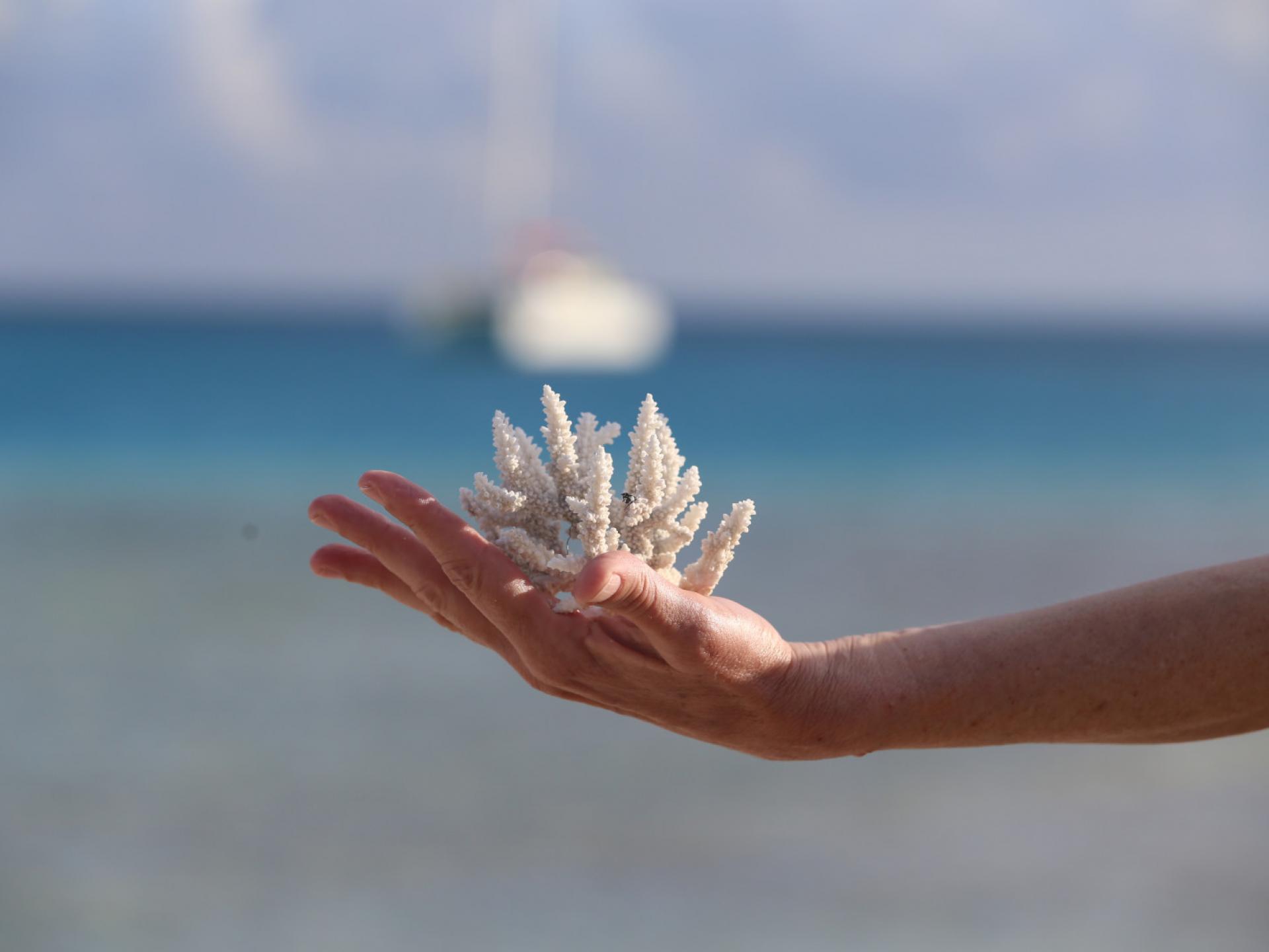 What to do in Fakarava | Tahiti Tourisme – Official website of The ...