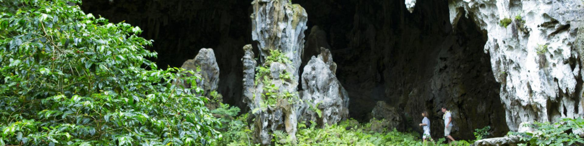 Explore the many caves in Rurutu | Tahiti Tourisme – Official website ...